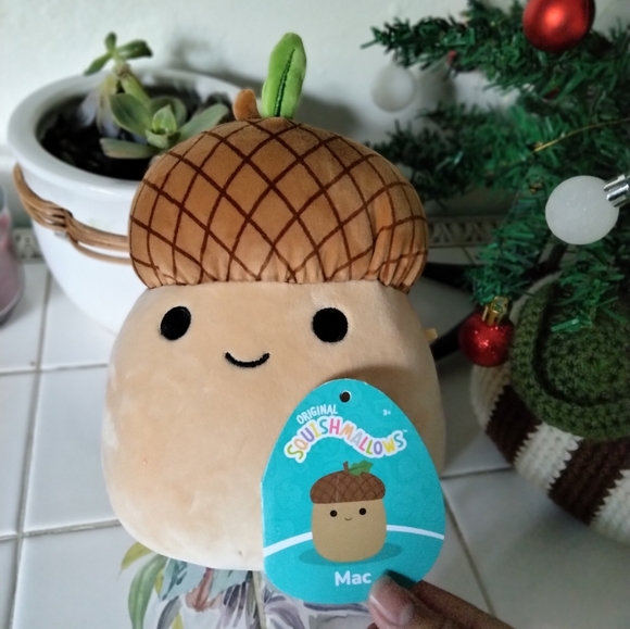Toys | Squishmallow Mac The Acorn 75 | Poshmark
